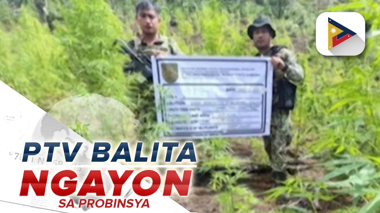 Mahigit P8-M, halaga ng marijuana sa Benguet at Kalinga sinunog ng magkasamang... - video ...