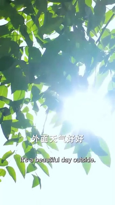 a visitor in your life chinese drama - video Dailymotion