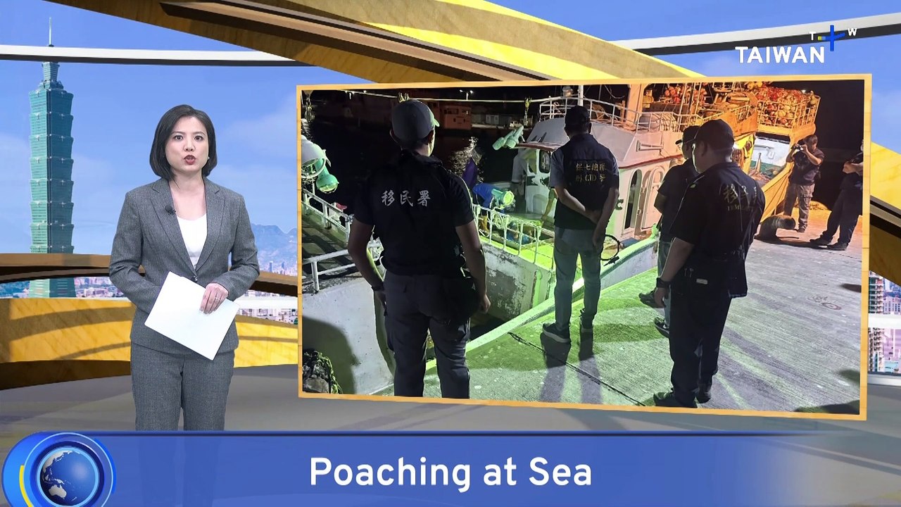 Taiwanese Fishers Face Poaching Charges Over Dolphin's Killing - video ...