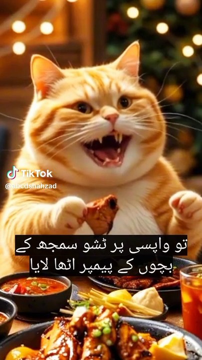 Funny clips 😂 - video Dailymotion