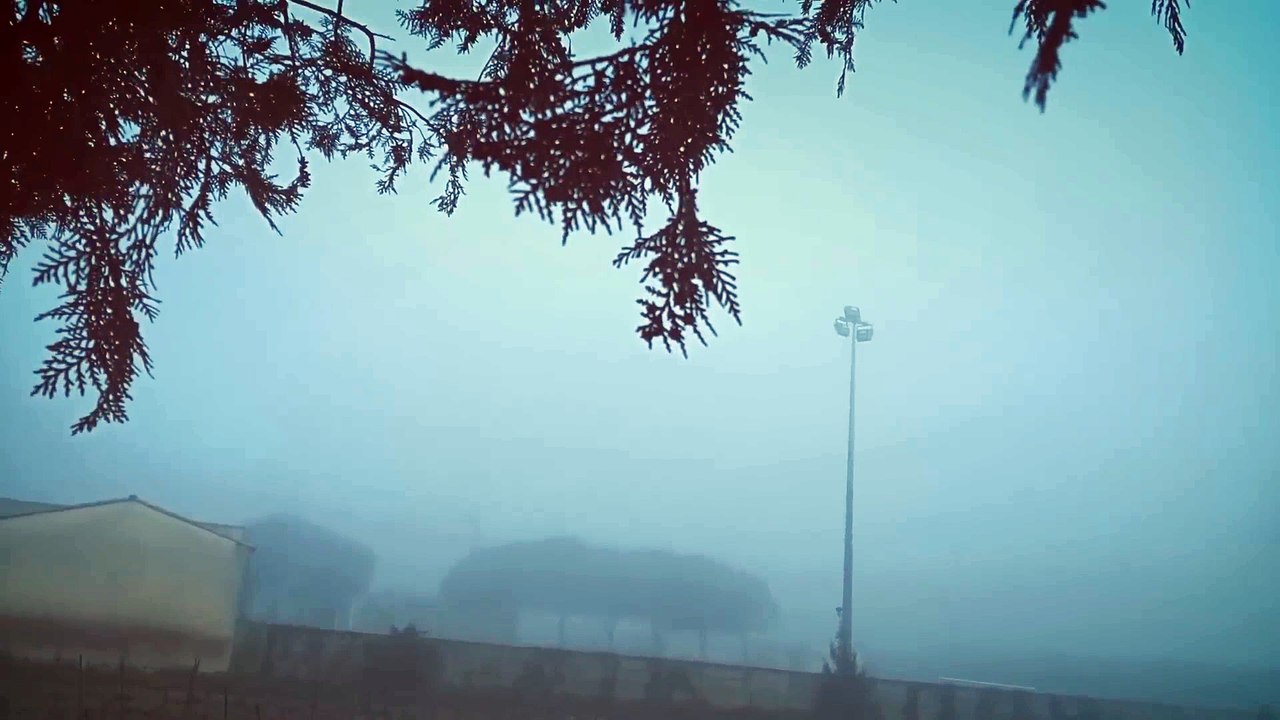 Creatures of the Fog(1080P_HD) - video Dailymotion