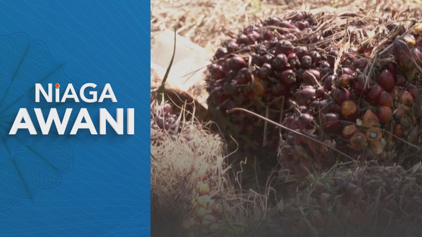 Harga dijangka RM4,200 per tan tahun ini | Astro Awani