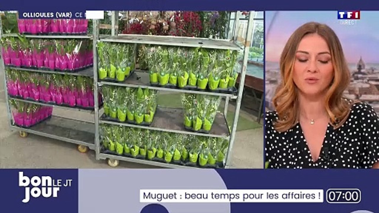 Solenn Riou dans Bonjour (01/05/2025) - Vidéo Dailymotion
