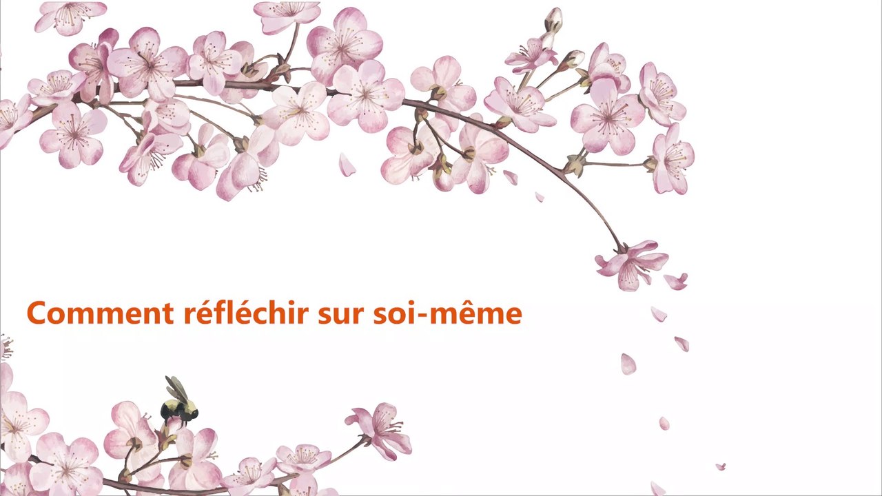 Comment réfléchir sur soi-même - Vidéo Dailymotion