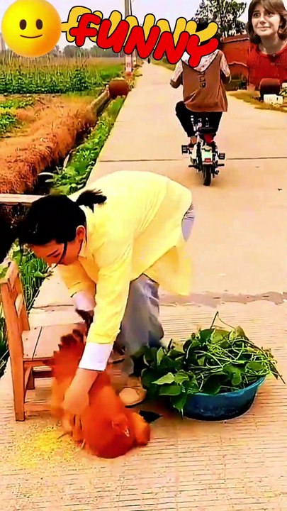 🤣😜🤫 मारे झपट्टा... #funny #comedy funny comedy shorts funny short ...