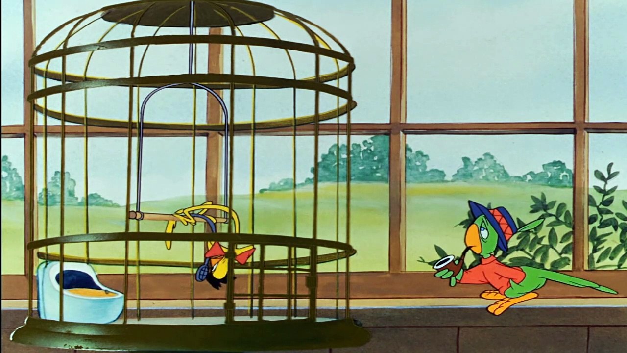 Looney Tunes Cartoons E2 - Catch as Cats Can | Tweety Outsmarts ...