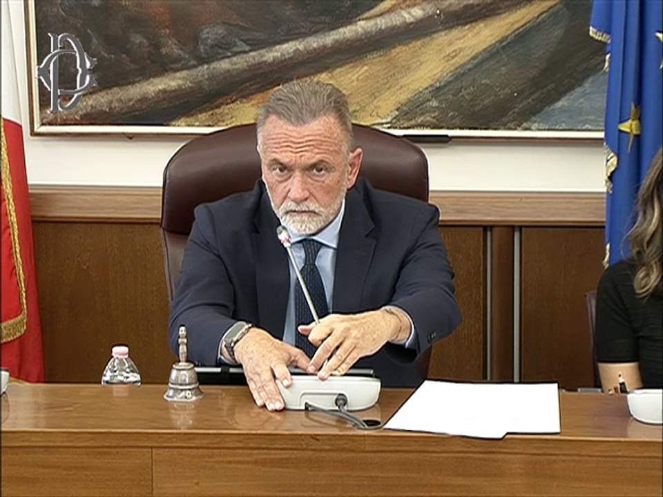 Roma - Indagine conoscitiva Centri oncofertilità - Audizioni - Enrico ...