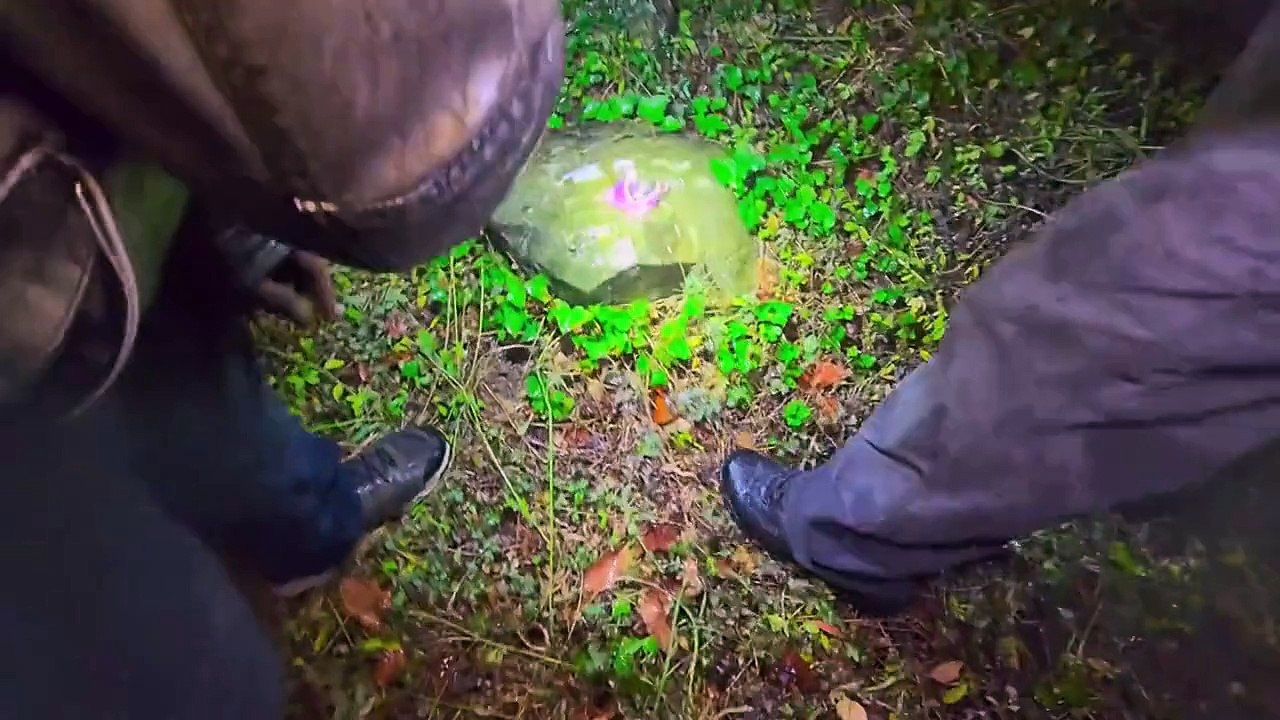 The.Hazzard.Files.Part.One.2024 - video Dailymotion