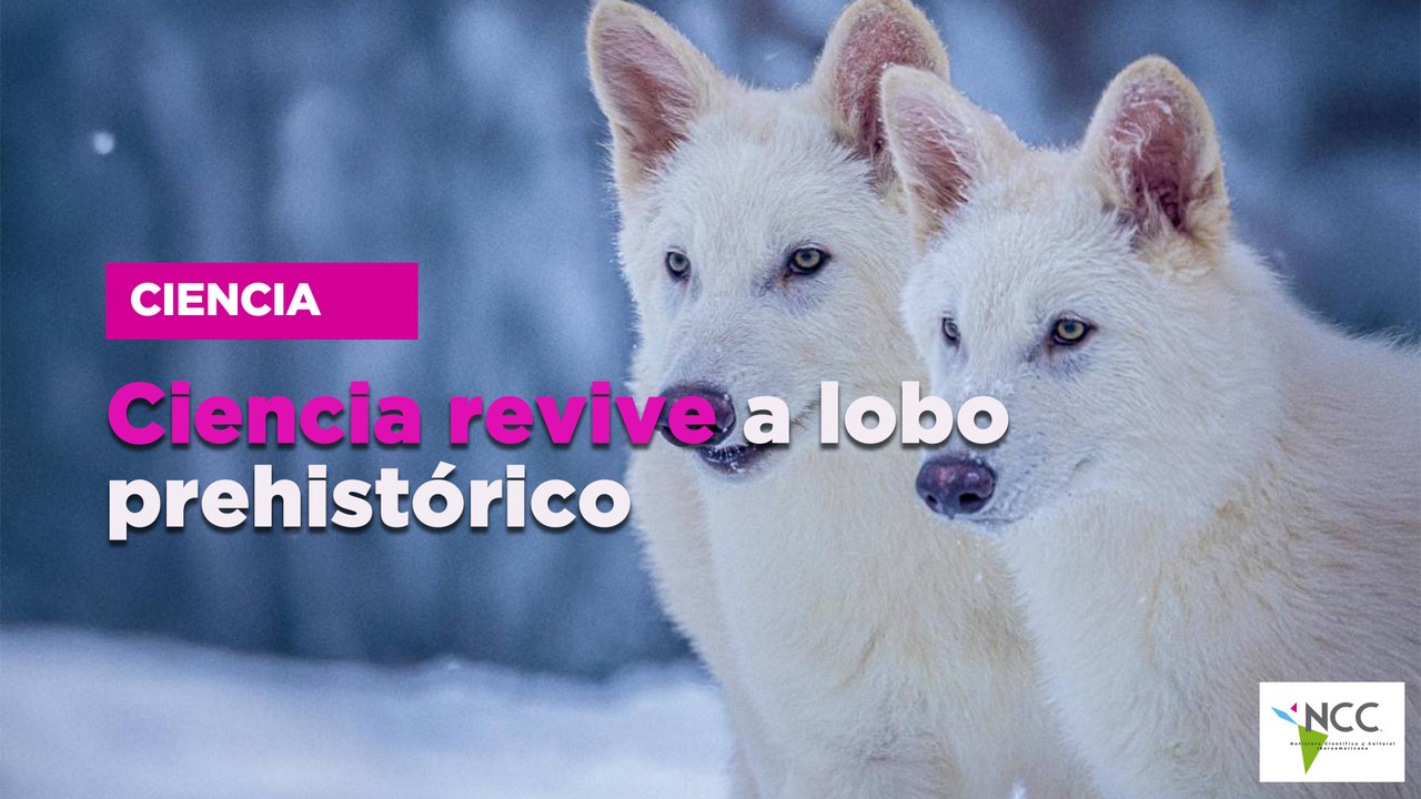 Ciencia revive a lobo prehistórico - Vídeo Dailymotion