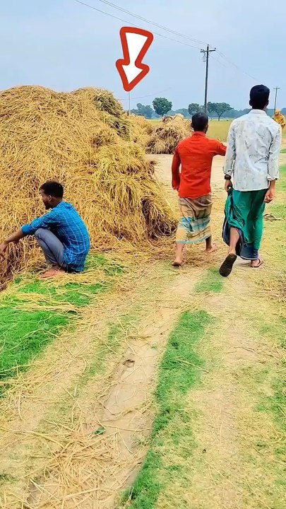 funny - video Dailymotion