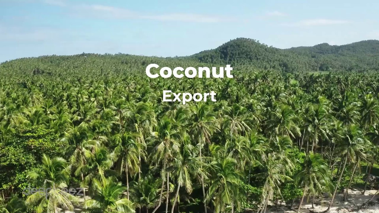 Top Coconut Exporter Globally Coconut Tariffs and Trade Conditions ...