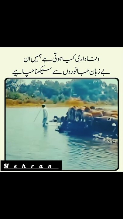 Mehran Ali - Follow 🙏 ️ Mehran Ali(HD) - video Dailymotion