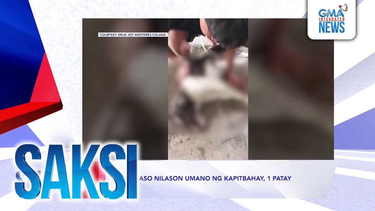 SAKSI RECAP: 2 aso nilason umano ng kapitbahay, 1 patay (Aired on May 22, 2025) - video Dailymotion