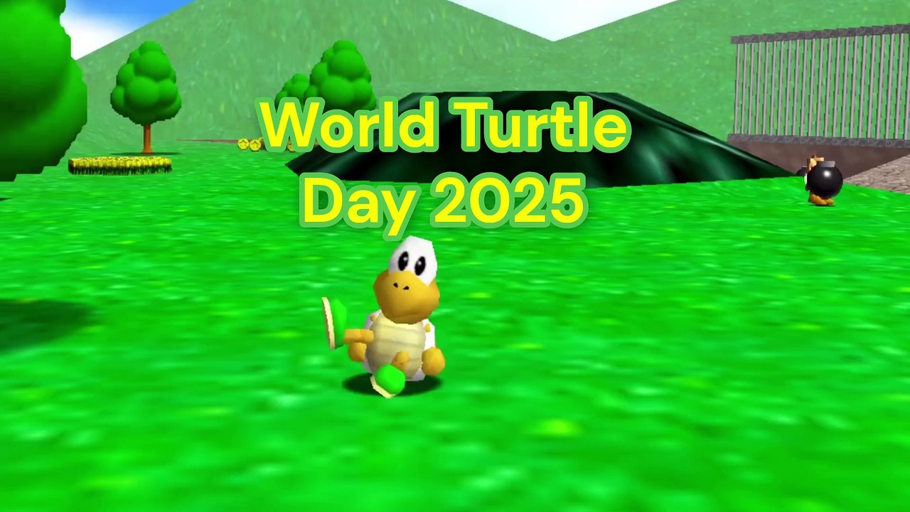 SM64: World Turtle Day 2025 - video Dailymotion