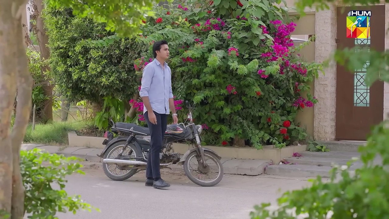 Pehli Mohabbat - Episode 52 - 24rd May 2025 - [ Noreen Gulwani ...