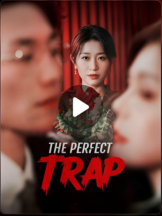 The Perfect Trap Drama Full Movies English Sub Video Dailymotion