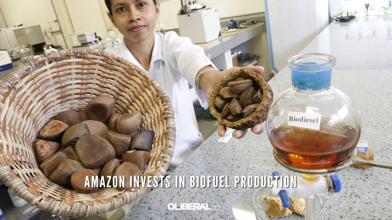 Amazon invests in biofuel production - Vídeo Dailymotion