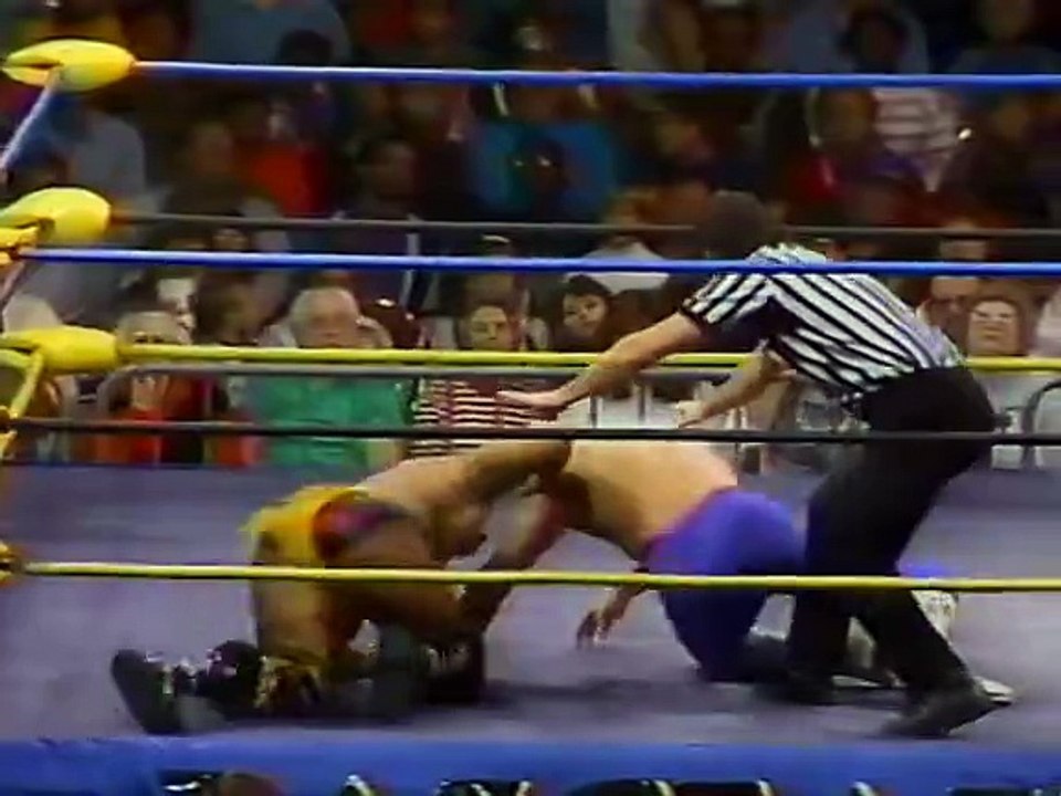 WCW Power Hour - 11/16/91 (VHS Rip) - video Dailymotion