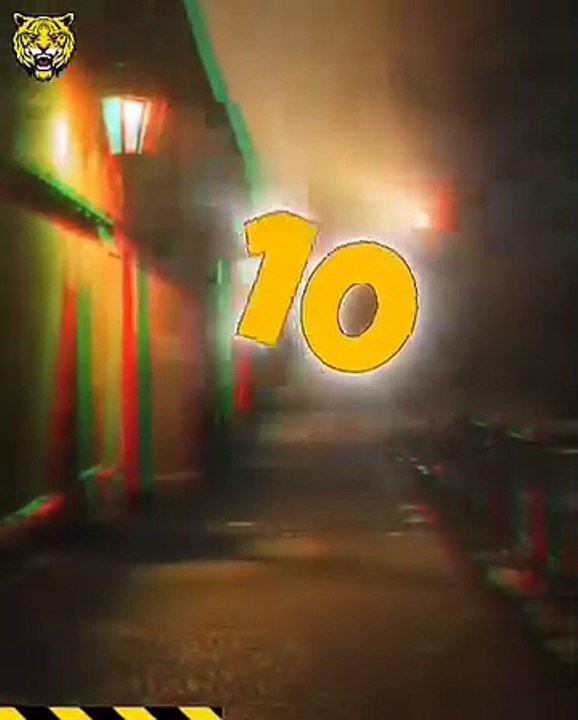 24 Moments Of Animals Dare To Attack Other Animals Fiercely Caught On ...