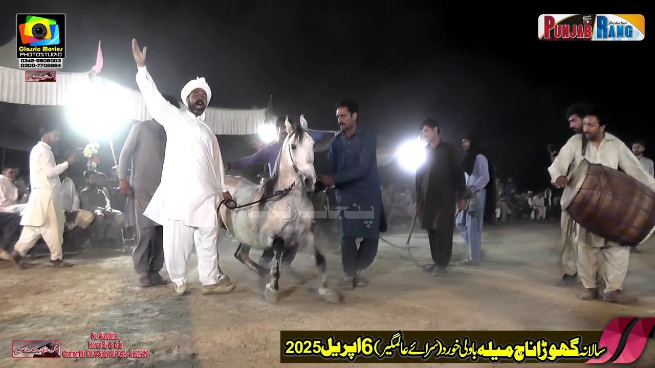 Dur e Najaf Almaroof Dengian Tangan Wala l 6 April 2025 l Horse Dance ...