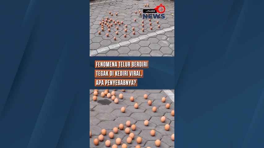 Fenomena telur berdiri tegak di Kediri viral, apa penyebabnya?