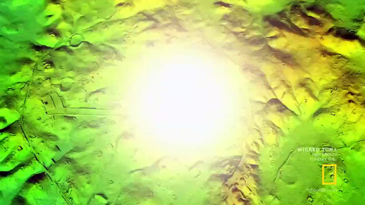 Lost Treasures of the Maya Snake Kings National Geographic Documentary ...