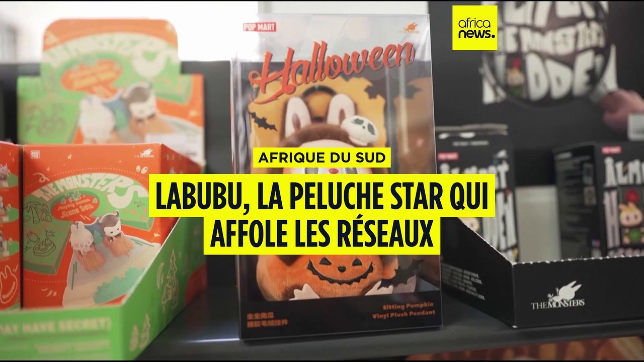 Labubu, la peluche qui déchaîne les passions en Afrique du Sud - Vidéo ...