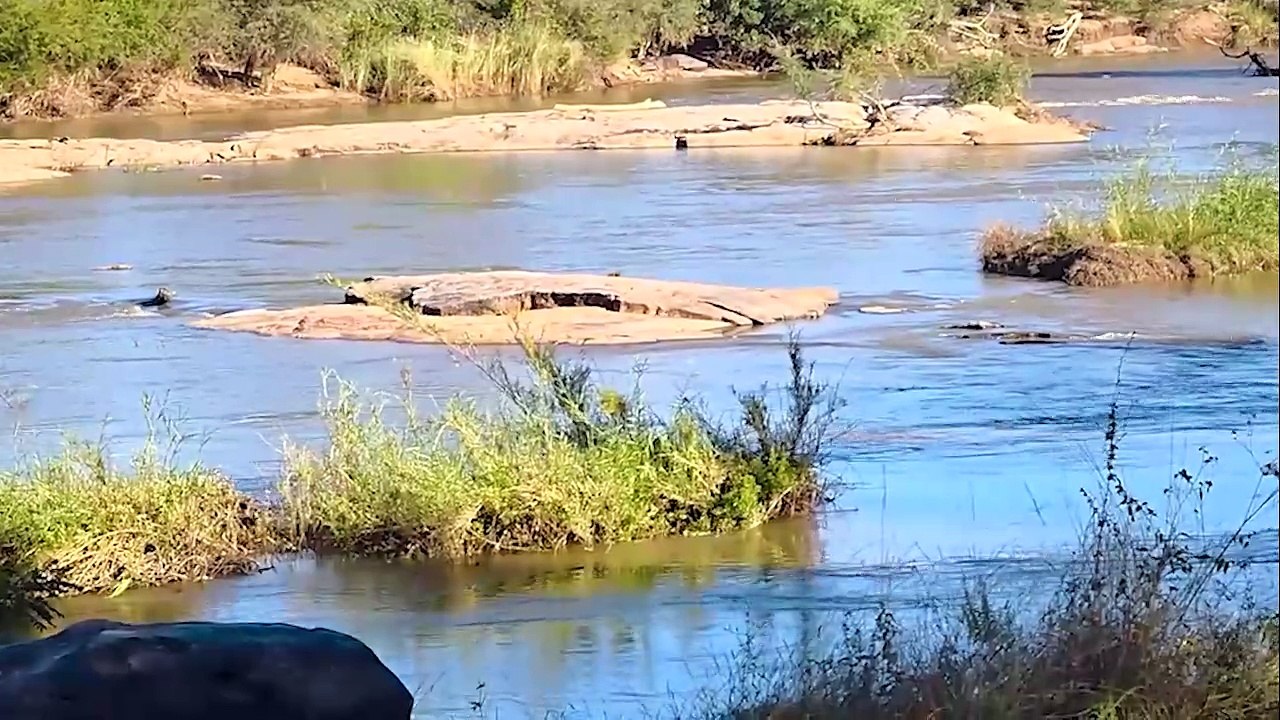 Ein magischer Ort: Die Lotsane Luxury River Lodge in Botswana! - video ...
