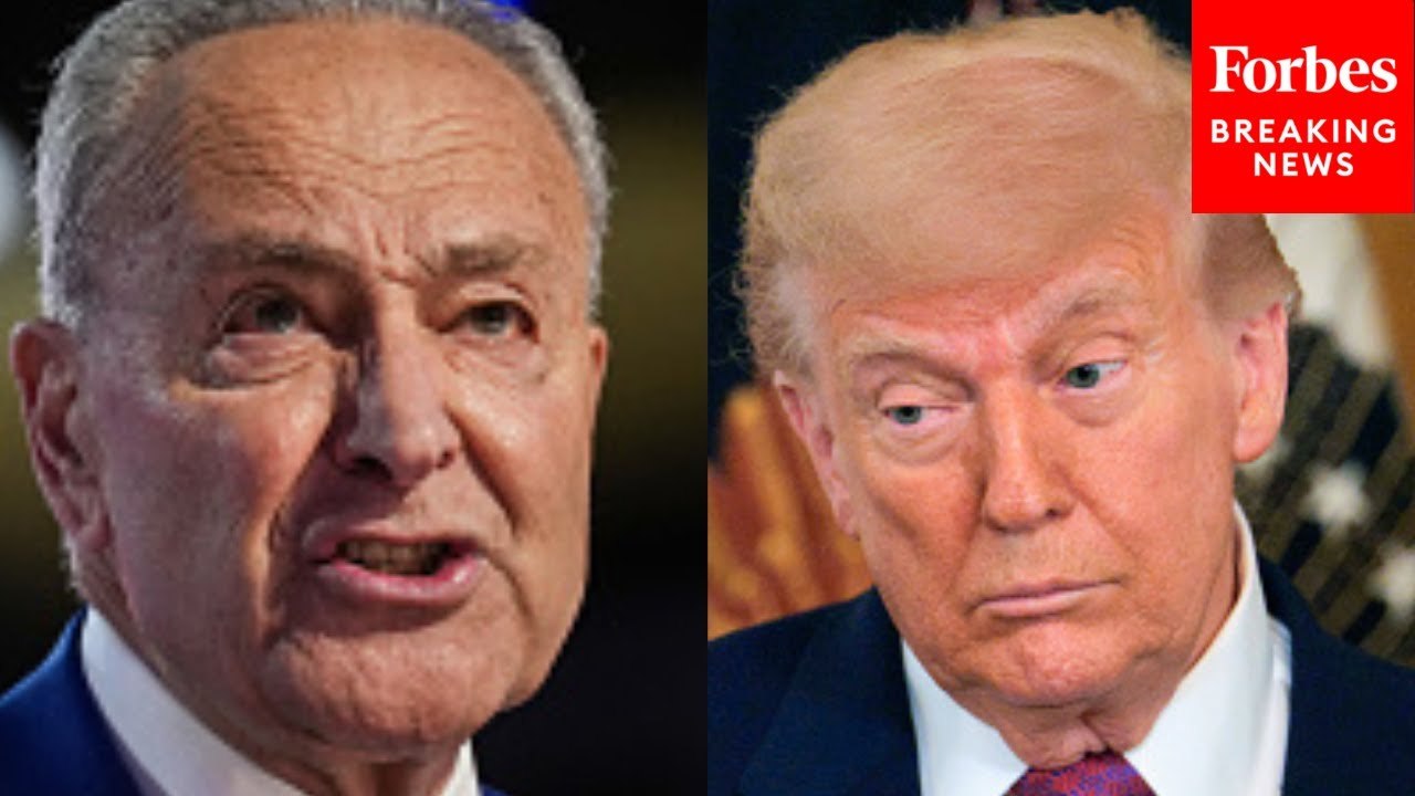 Chuck Schumer Slams Trump's Cuts To 'The Very Unit' That Targets Lone ...