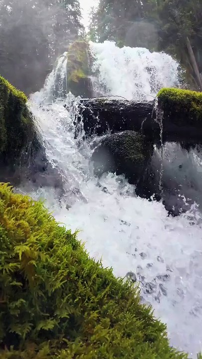 Rohan Khan - video Dailymotion