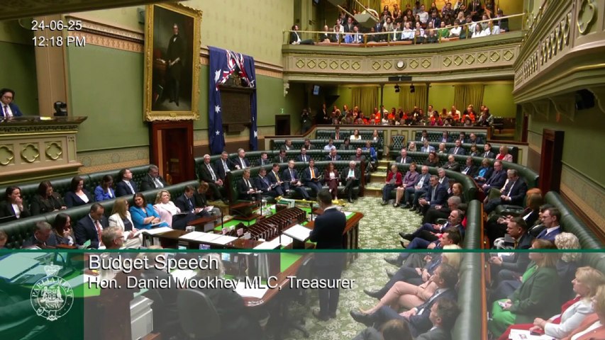 NSW budget 2025: NSW Treasurer's speech to parliament in full ...