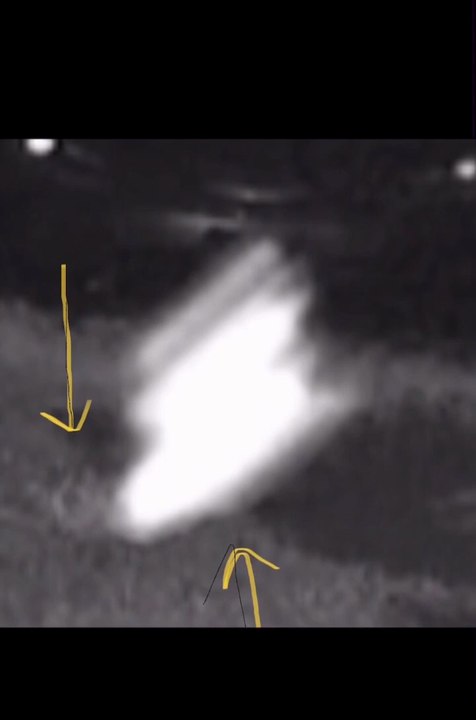 A small flying White thingy - video Dailymotion