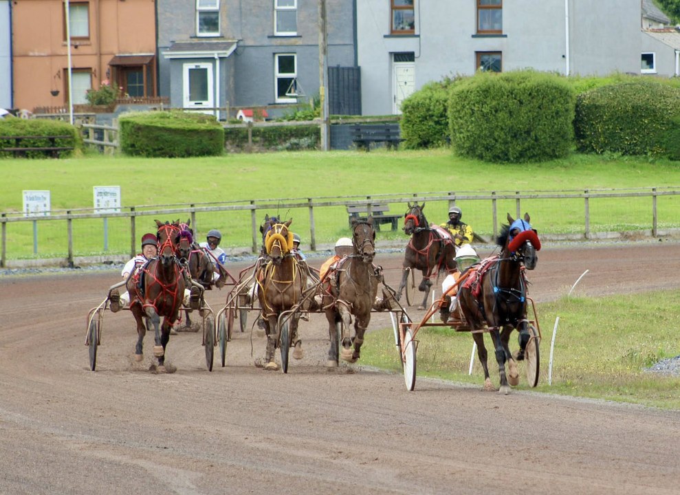 Gallery: Wales & Border Counties Harness Racing at Amman Valley - video ...