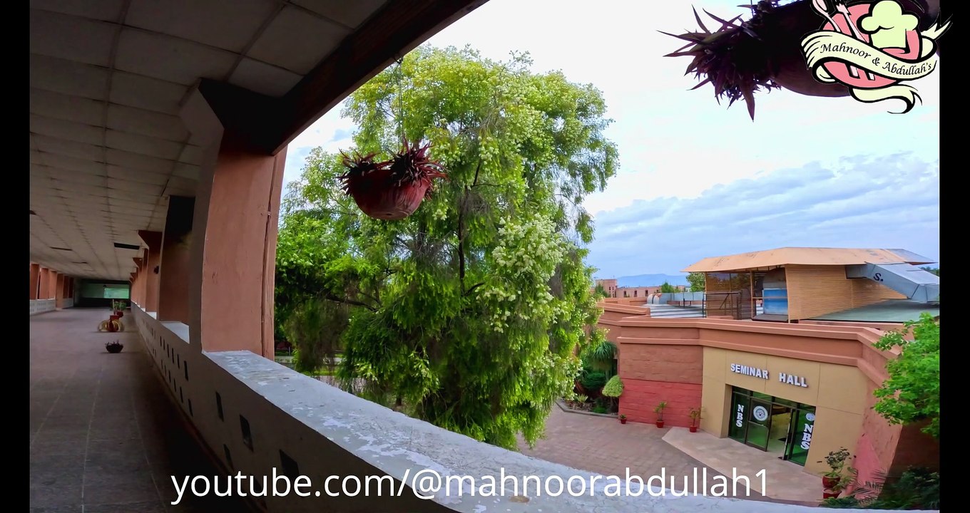 Good morning 5K Ultra HD - video Dailymotion