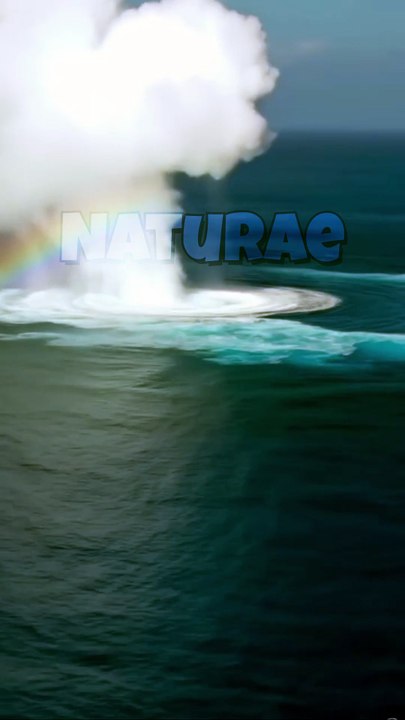 Caught on Camera! - video Dailymotion