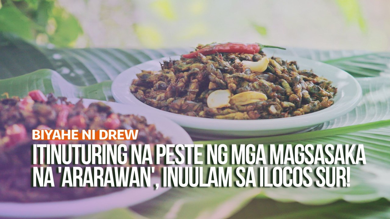Itinuturing na peste ng mga magsasaka na 'ararawan', inuulam sa Ilocos ...