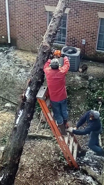 Technologiya,😄😄😄😉 - video Dailymotion