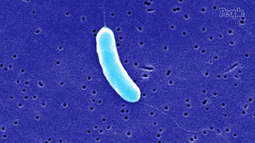 4 Dead, 7 Sickened by Flesh-Eating Bacteria in Florida - GVTC