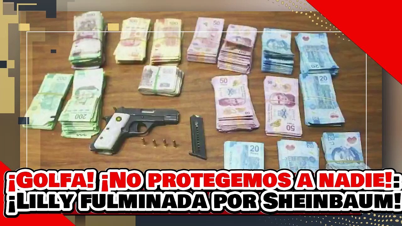 🔥🚨¡SURIPANTA! ¡NO PROTEGEMOS A NADIE! ¡LILLY LANZA ATAQUES RABIOSOS ...