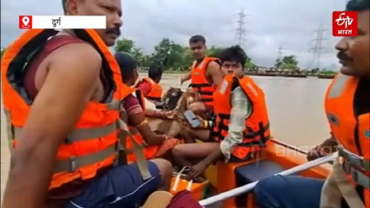 दुर्ग में बाढ़ में फंसे लोगों का रेस्क्यू, SDRF ने एक महिला समेत 3 लोगों और 3 बकरियों को ...