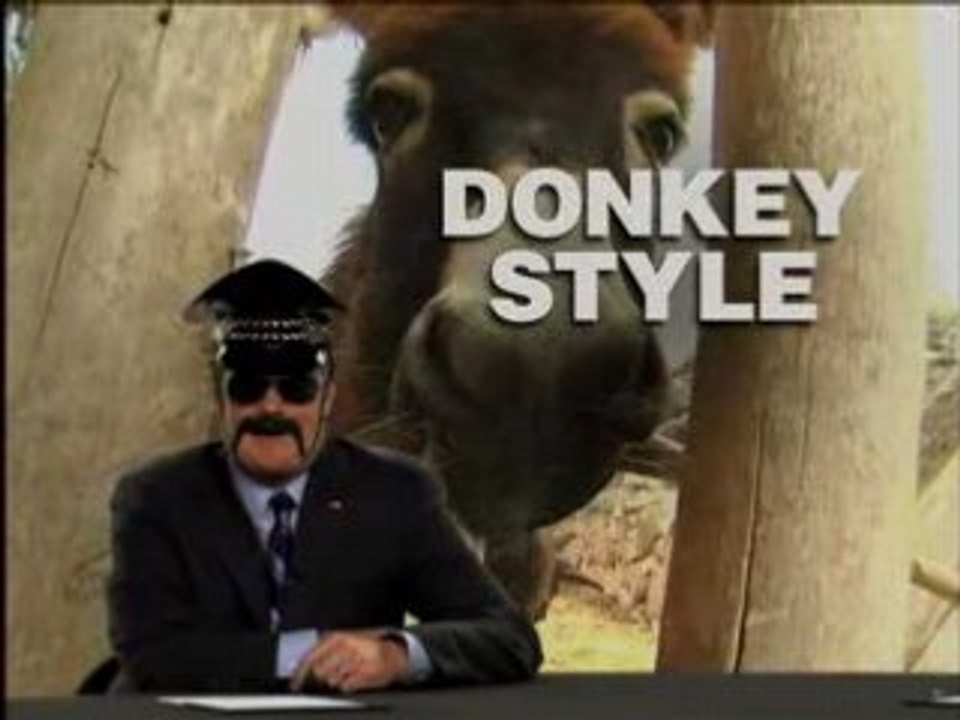 Hot Donkey Action - video Dailymotion