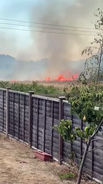 Fire in the field behind Meyrick Close in Bransgore