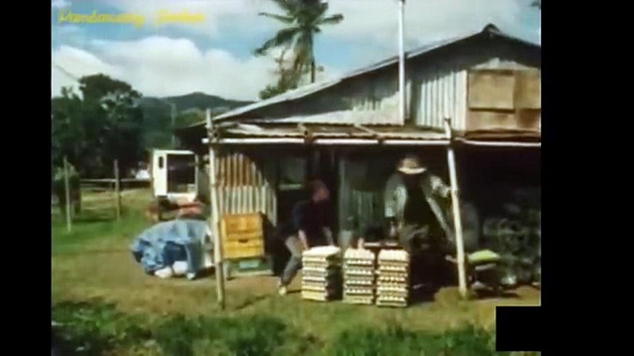 PINOY-BOLD-MOVIE-ITLOG-DIANA-ZUBIRI_ - video Dailymotion