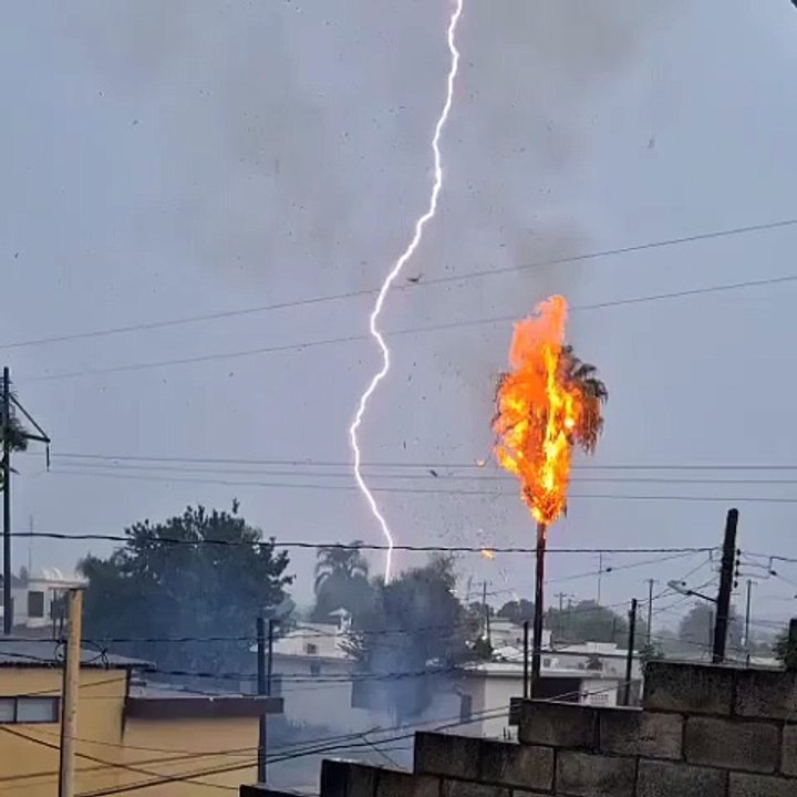 Lightning Strikes Set Palm Tree on Fire in Allende, Nuevo León, Mexico ...