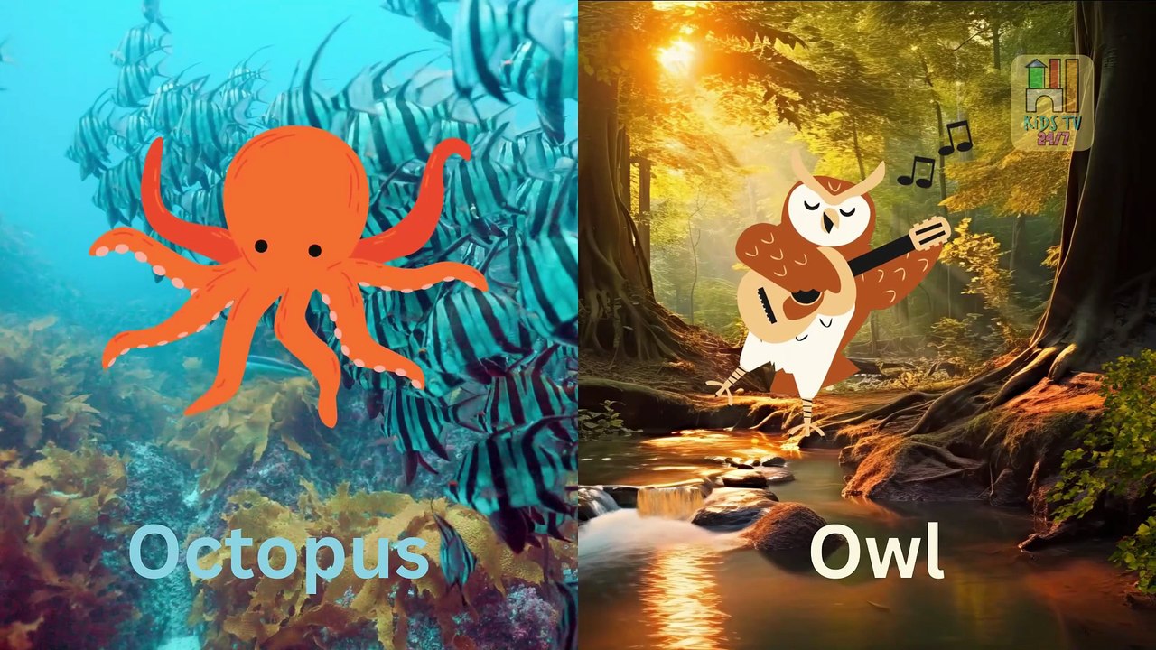 The Letter O Song for Kids | Octopus, Owl, Orange & More! | KidsTV 24/7 ...