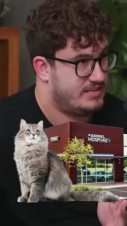 His CAT Put Him into DEBT - video Dailymotion