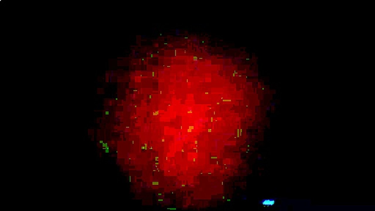 FBI Warning Screen/Sony Wonder/Random House Home Video - video Dailymotion