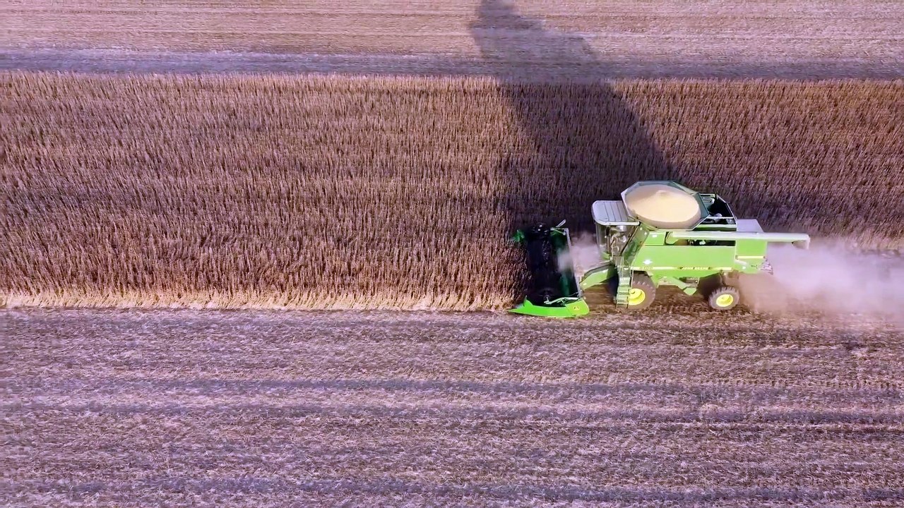 Serves Em' Right | movie | 2022 | Official Trailer - video Dailymotion