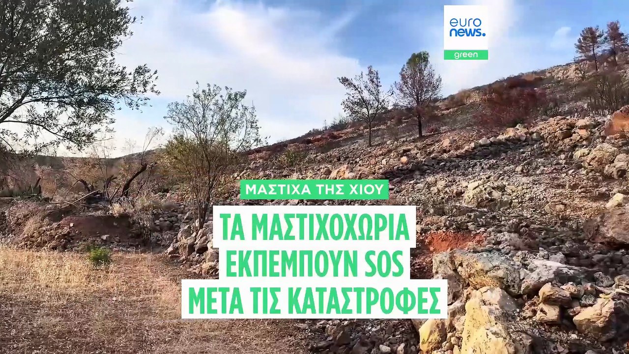 Τα μαστιχοχώρια της Χίου εκπέμπουν σήμα κινδύνου μετά τις πυρκαγιές του ...