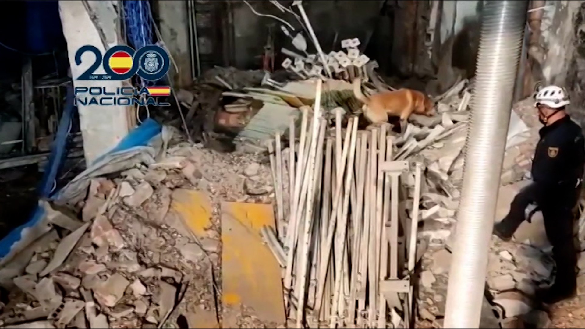 Últimos vídeos sobre Madrid | EL MUNDO